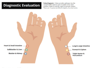 Chinese Pulse Diagnosis at Edina Acupuncture Clinic - Complete Oriental ...